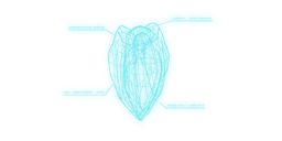 Alien Grenades | XCOM Wiki | Fandom