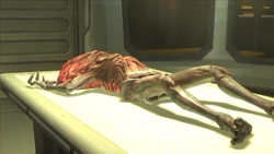 sectoid commander lwotc