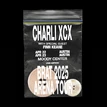 Brat Tour (concert tour) | Charli XCX Wiki | Fandom