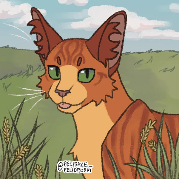 Cinderkit | Xcxcharli72's OC'S Wiki | Fandom