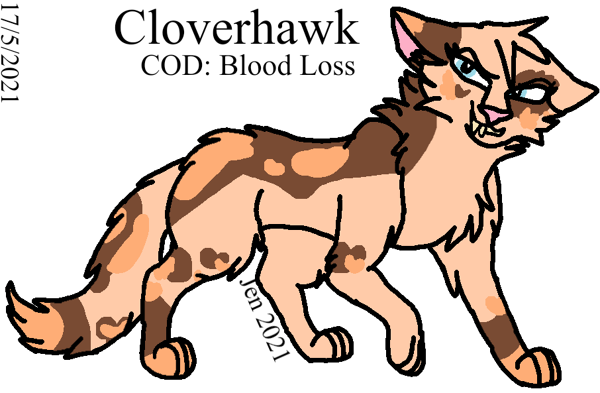 Cloverhawk | Xcxcharli72's OC'S Wiki | Fandom