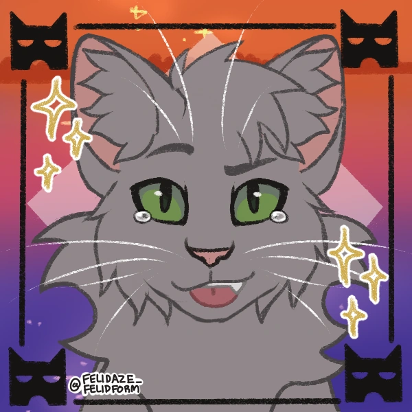 Shadowpaw | Xcxcharli72's OC'S Wiki | Fandom