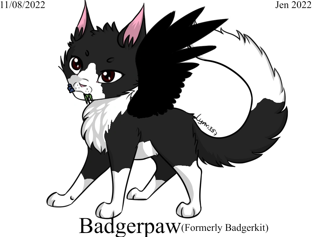 Badgerpaw | Xcxcharli72's OC'S Wiki | Fandom