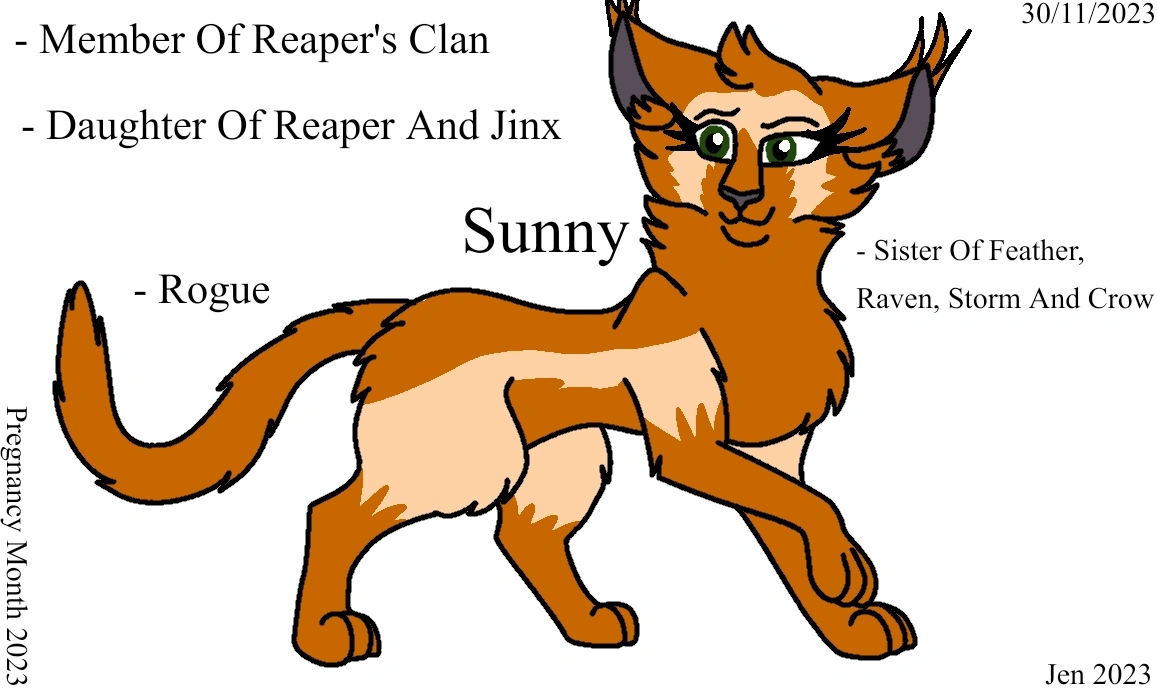Sunny | Xcxcharli72's OC'S Wiki | Fandom