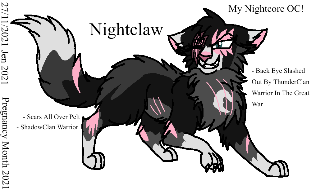 Nightclaw | Xcxcharli72's OC'S Wiki | Fandom