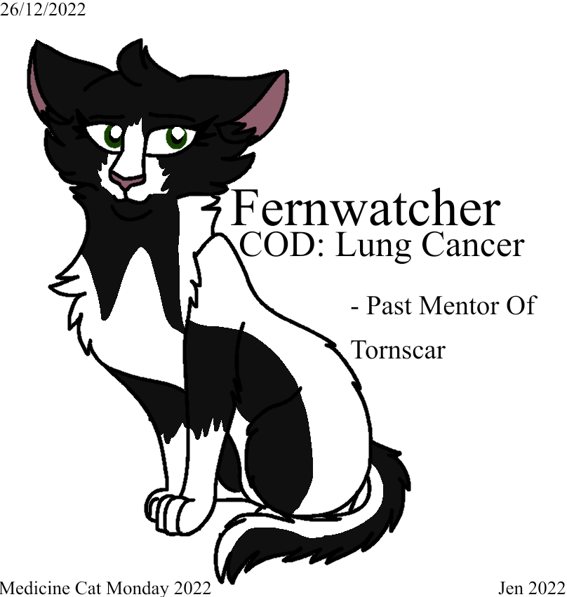 Fernwatcher | Xcxcharli72's OC'S Wiki | Fandom