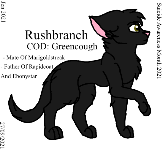 Rushbranch | Xcxcharli72's OC'S Wiki | Fandom
