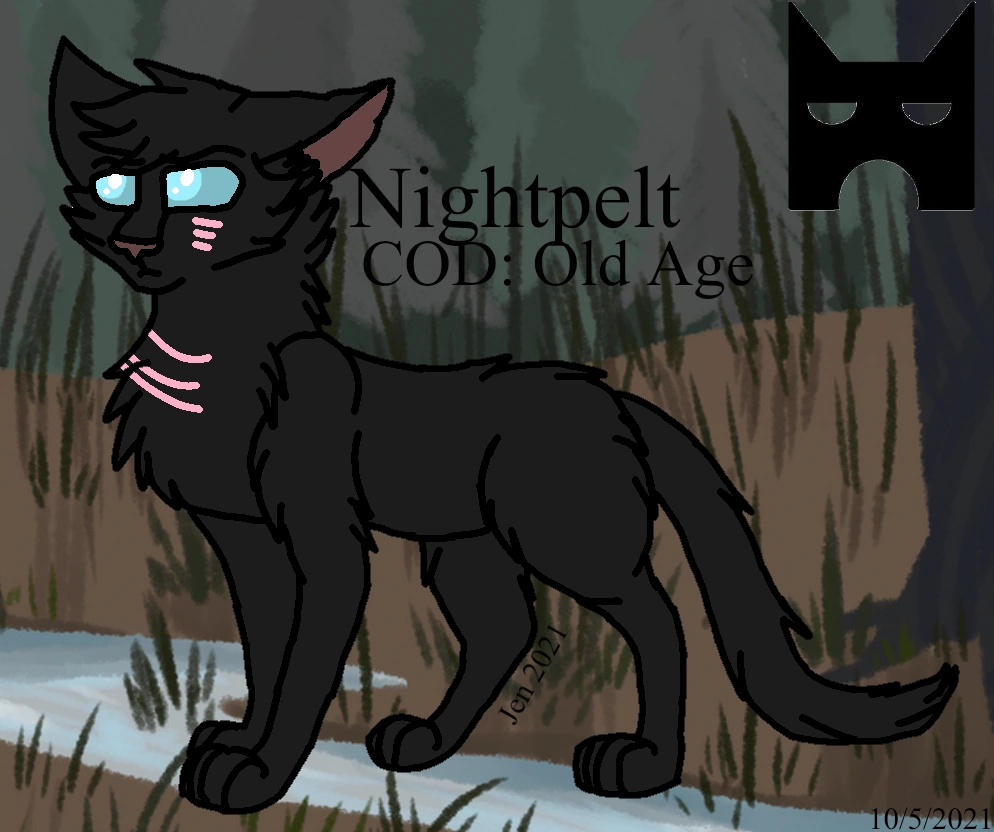 Nightpelt | Xcxcharli72's OC'S Wiki | Fandom