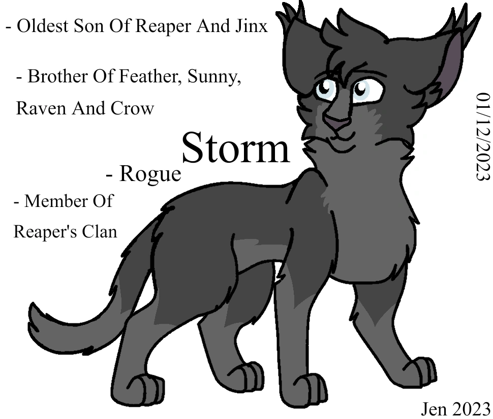 Storm | Xcxcharli72's OC'S Wiki | Fandom