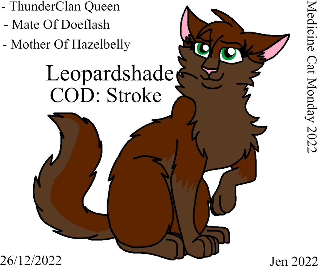 Leopardshade | Xcxcharli72's OC'S Wiki | Fandom