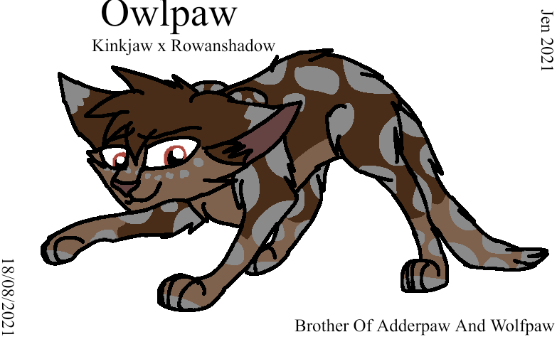 Owlpaw | Xcxcharli72's OC'S Wiki | Fandom