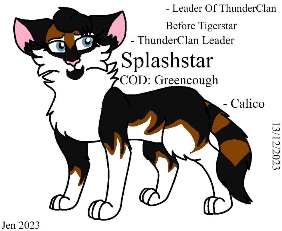 Splashstar | Xcxcharli72's OC'S Wiki | Fandom
