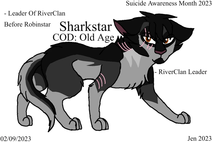 Sharkstar | Xcxcharli72's OC'S Wiki | Fandom