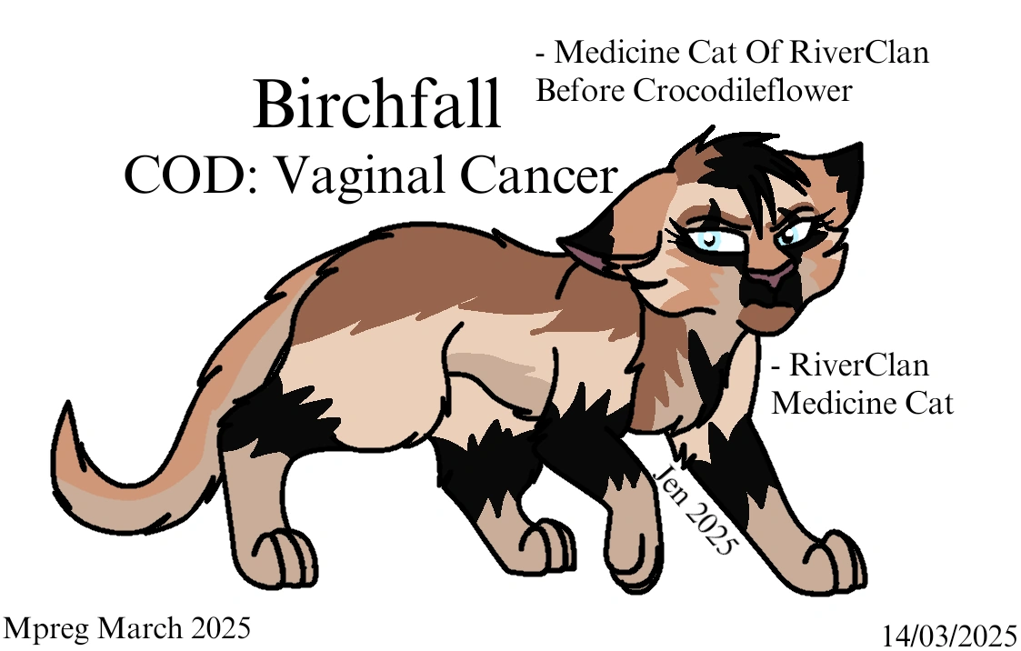 Birchfall | Xcxcharli72's OC'S Wiki | Fandom