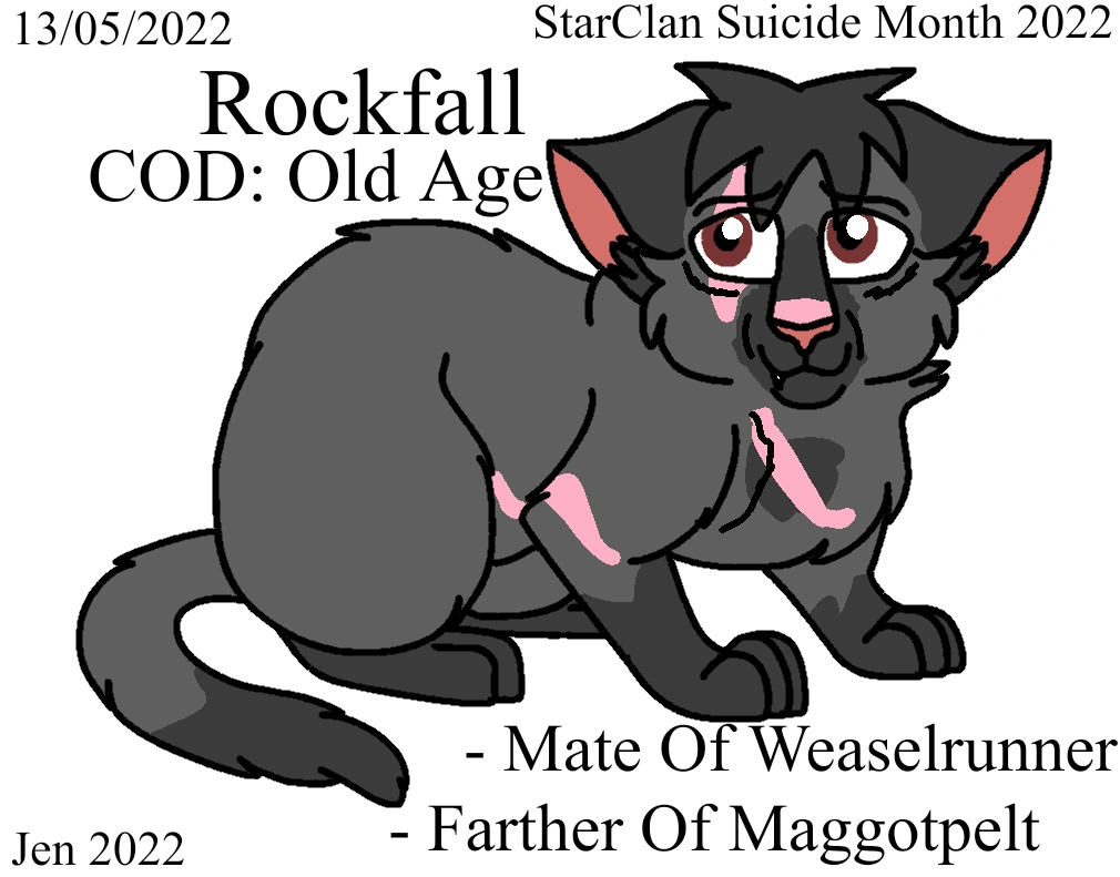 Rockfall | Xcxcharli72's OC'S Wiki | Fandom