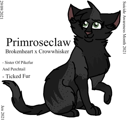 Primroseclaw | Xcxcharli72's OC'S Wiki | Fandom
