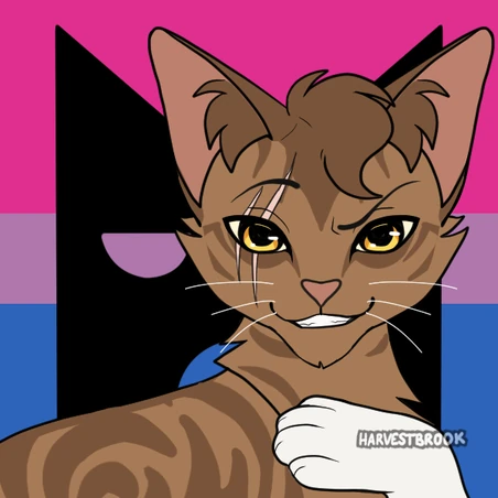 Snowfoot | Xcxcharli72's OC'S Wiki | Fandom