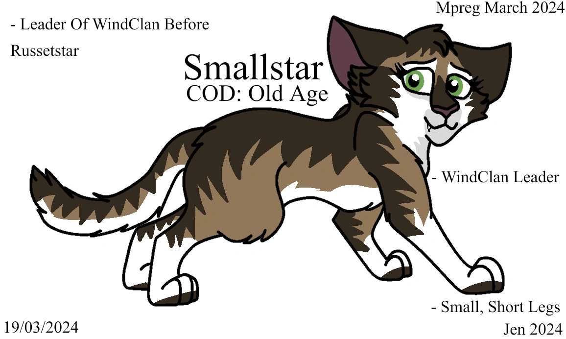 Smallstar | Xcxcharli72's OC'S Wiki | Fandom