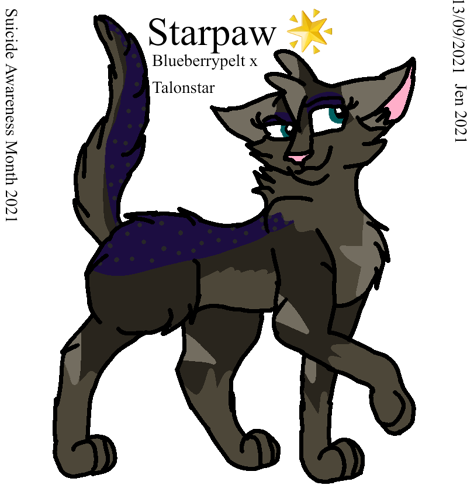 Starpaw | Xcxcharli72's OC'S Wiki | Fandom
