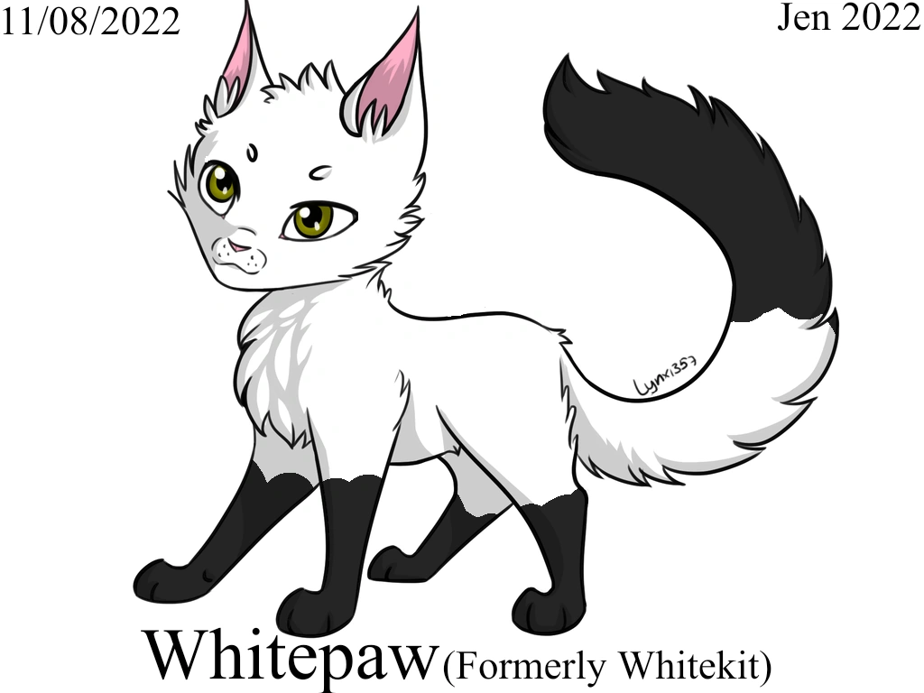 Whitepaw | Xcxcharli72's OC'S Wiki | Fandom