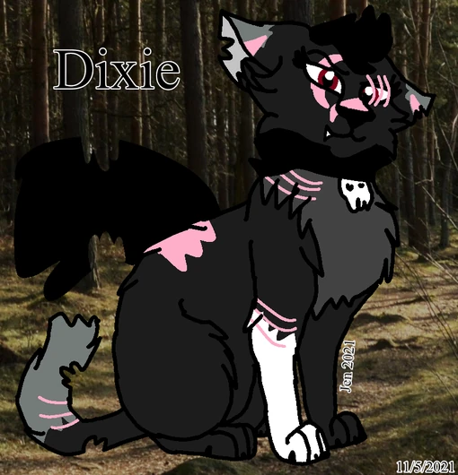 Dixie | Xcxcharli's Non-Cat OC'S Wiki | Fandom