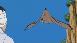 Kuchiyose no Jutsu: Hawk | Xe naruto Wikia | Fandom