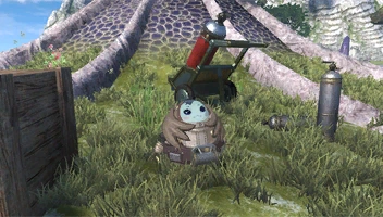 Sokoko | Xenoblade Wiki | Fandom