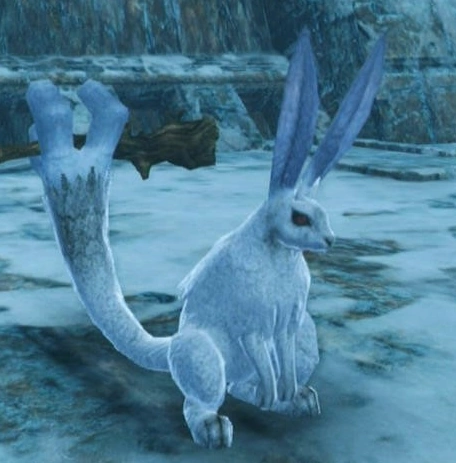 Tinger-Hasit | Xenoblade Wiki | Fandom