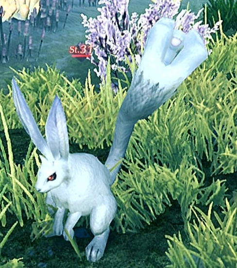 Fluss-Hasit (Leftheria) | Xenoblade Wiki | Fandom