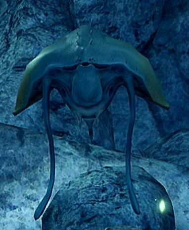 Wellen-Quall | Xenoblade Wiki | Fandom