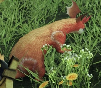 Neml Pippito (XC3) | Xenoblade Wiki | Fandom