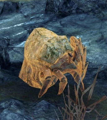 Morg Krabble (XC3) | Xenoblade Wiki | Fandom