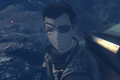 brionac occupied zone