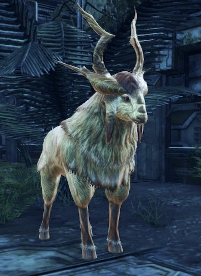 Samide Anlood | Xenoblade Wiki | Fandom