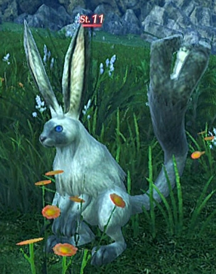Kleines Hasit (XC2) | Xenoblade Wiki | Fandom