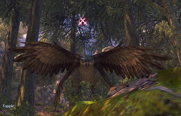 Magra Quadwing | Xenoblade Wiki | Fandom