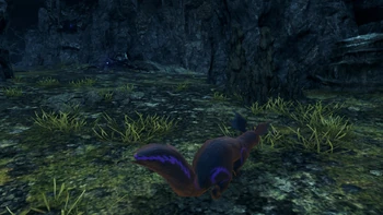 Felusi Pippito (XC3) | Xenoblade Wiki | Fandom