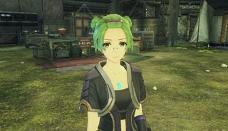 Linka's Birthday | Xenoblade Wiki | Fandom