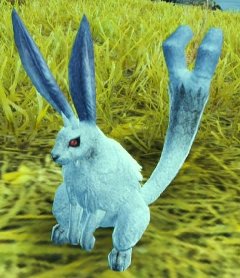 Insel-Hasit | Xenoblade Wiki | Fandom