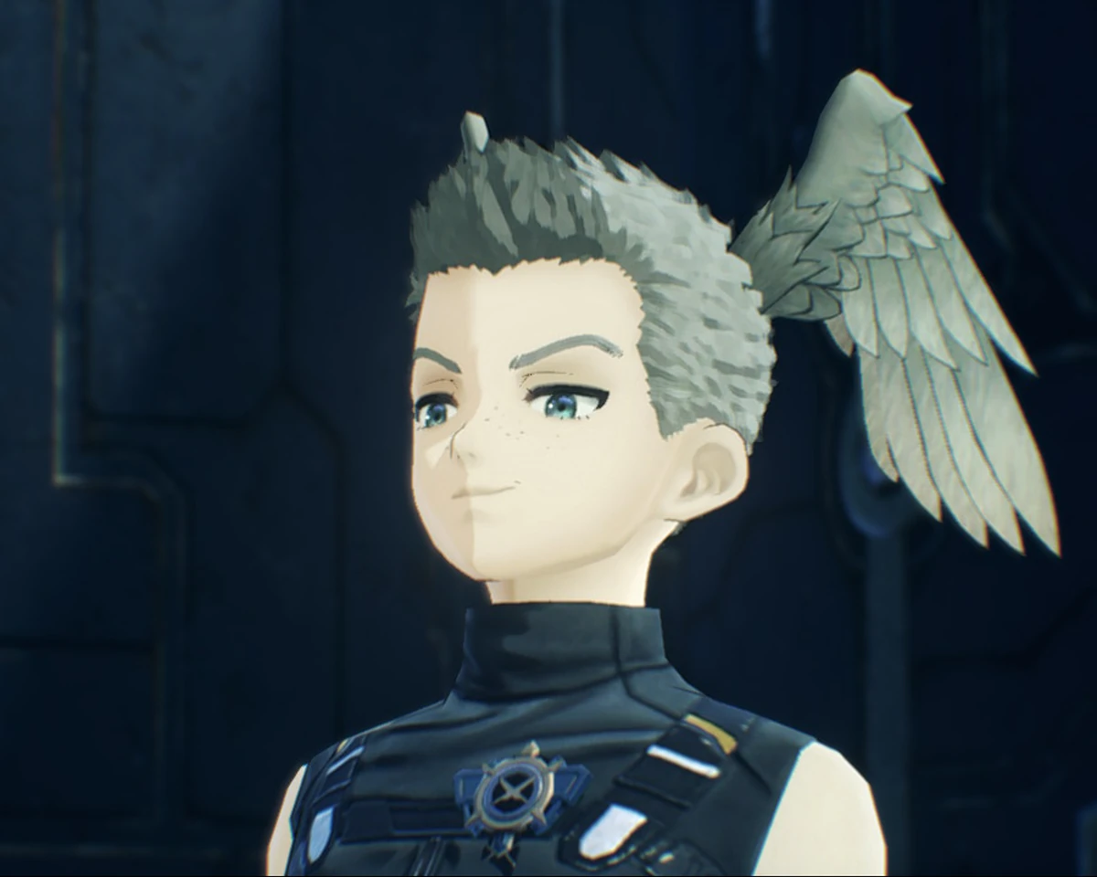 Garvel | Xenoblade Wiki | Fandom