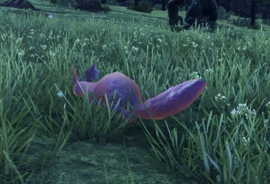 Snow Pippito | Xenoblade Wiki | Fandom