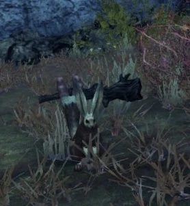 Alderra Bunnit | Xenoblade Wiki | Fandom