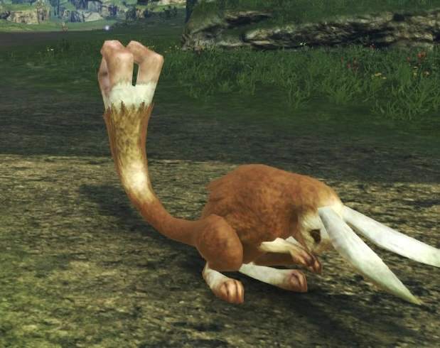 Nairoo Bunnit (XC3) | Xenoblade Wiki | Fandom