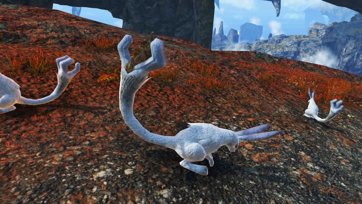 Exxuno Bunnit | Xenoblade Wiki | Fandom