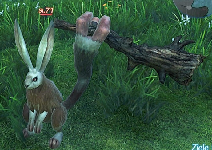 Grobes Hasit | Xenoblade Wiki | Fandom