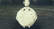 Nopon | Xenoblade Wiki | Fandom
