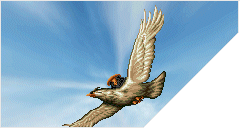 Tengai | Xeno Fighters R Wiki | Fandom