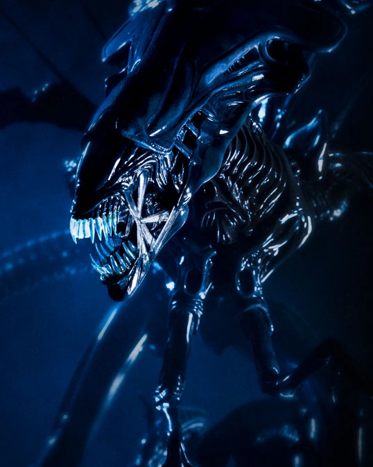 Category:Stage 6 Xenomorphs | Wikihive LV-427 Wiki | Fandom