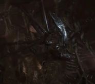 Specimen 6 | Xenomorph Species Wiki | Fandom