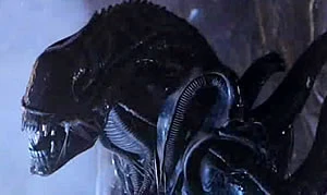 Xenomorph Species Wiki | Fandom